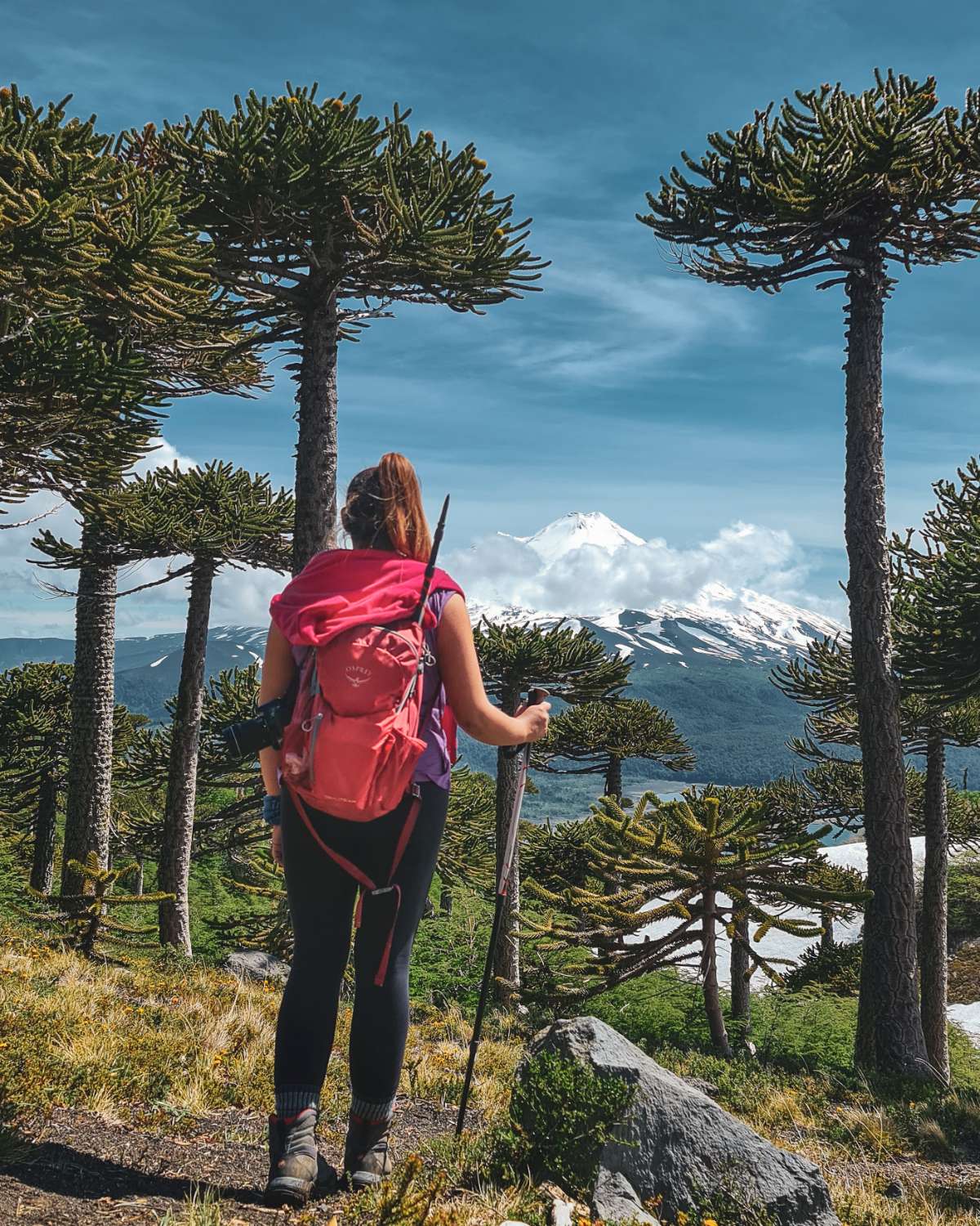 Hidden Gems of Chile: The Most Spectacular Country on Earth