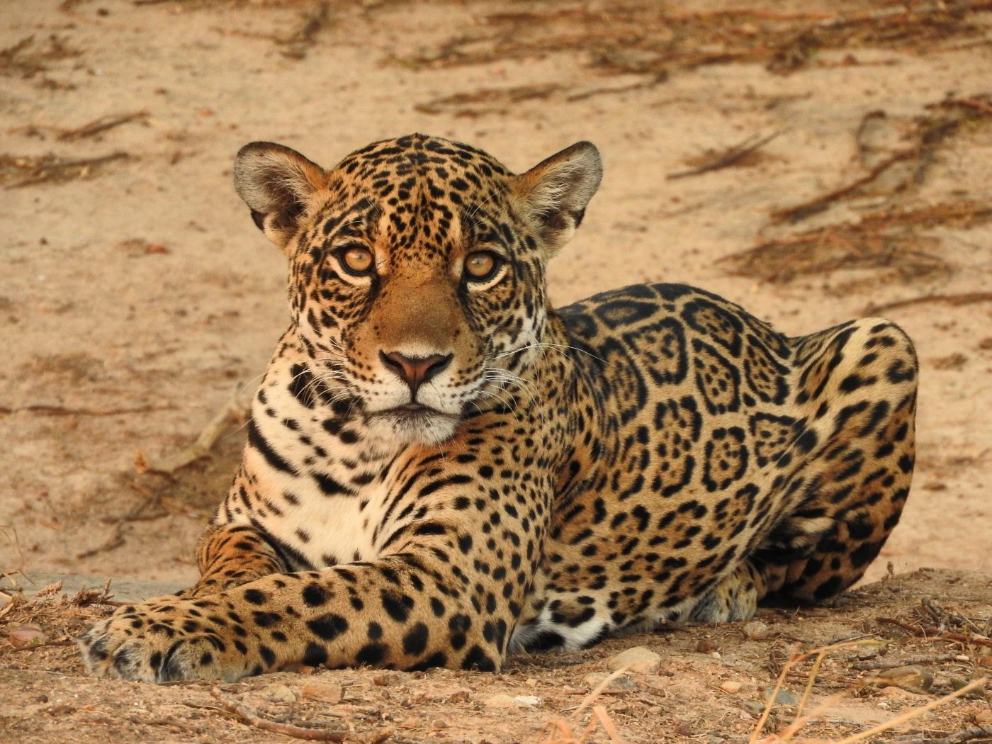 Best Tours in Bolivia: Book with Nick’s Adventures