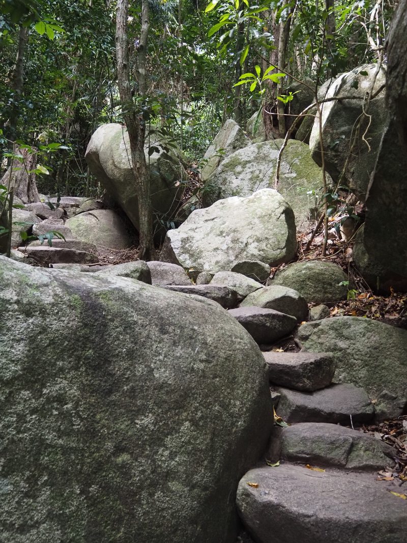 Fitzroy Island: Discover a Little Island Gem Off the Coast of Cairns