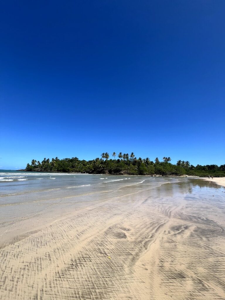 Boipeba Travel Guide: Discover the Beauty & Charm of Bahia